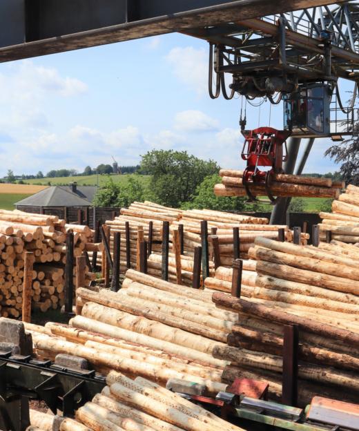 Wood, an industry with a bright future - Luxembourg